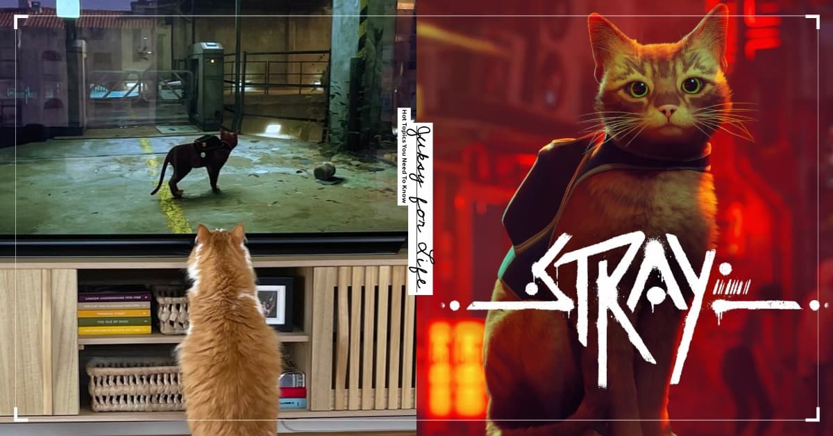 《Stray》全新遊戲上架 Playstation 平台製造高分話題，就連現實喵皇也超關注！ JUKSY 街星