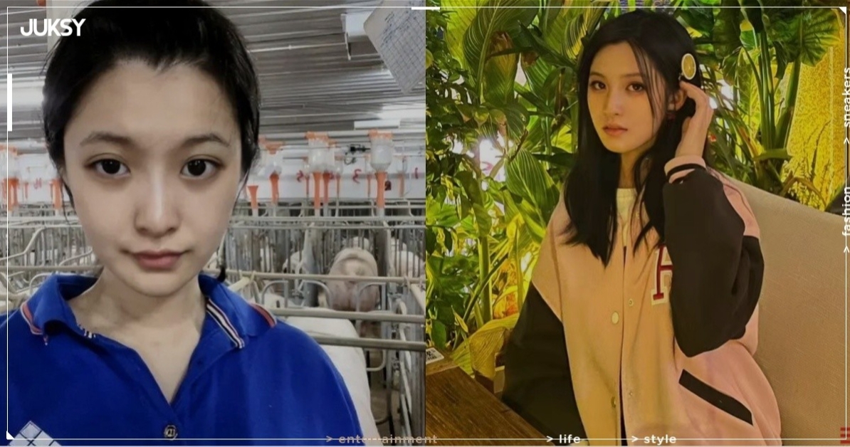 校花級獸醫系正妹畢業後到養豬場工作，每天 6 點上班年薪僅 44 萬台幣！ - JUKSY 街星