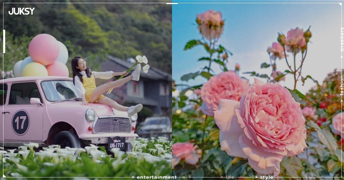 2023 台北 5 大賞花好去處，搭捷運就可以到！ JUKSY 街星