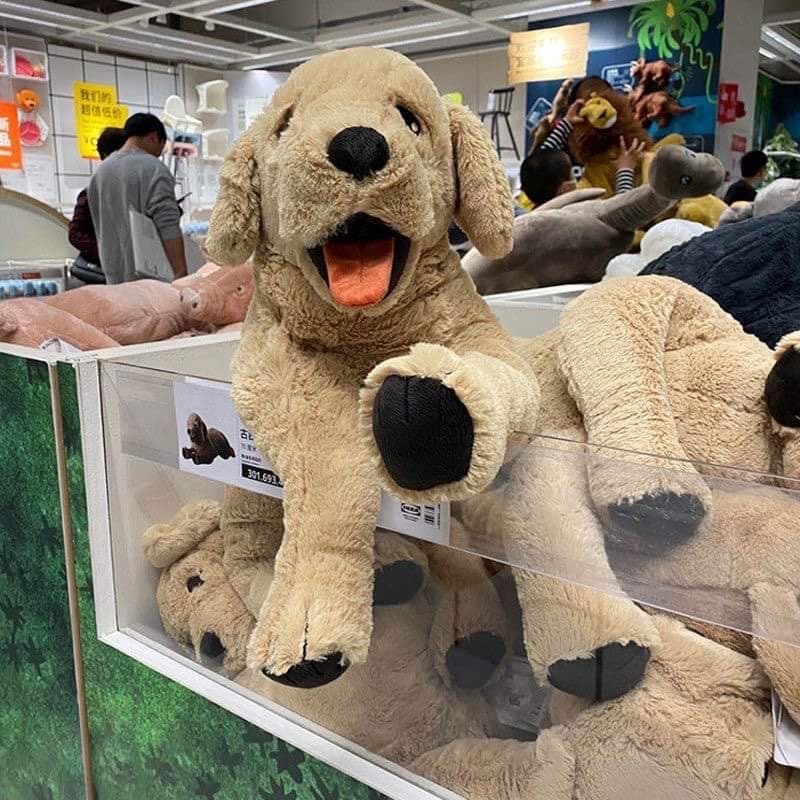 揭露 IKEA 玩偶 10 件事：鯊魚爆紅因長得太可憐、眼睛堅持不用鈕扣⋯原來背後藏這麼多故事！ JUKSY 街星