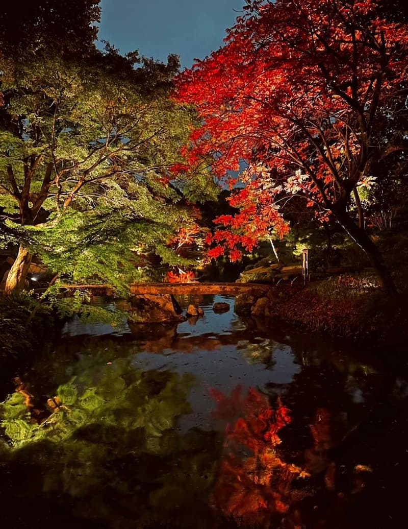 2023 日本 5 大賞楓景點推薦：河口湖、美瑛青池⋯趕緊更新你的旅遊清單吧！ JUKSY 街星