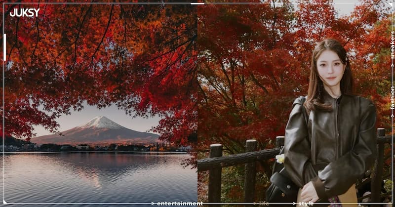2023 日本 5 大賞楓景點推薦：河口湖、美瑛青池⋯趕緊更新你的旅遊清單吧！ JUKSY 街星