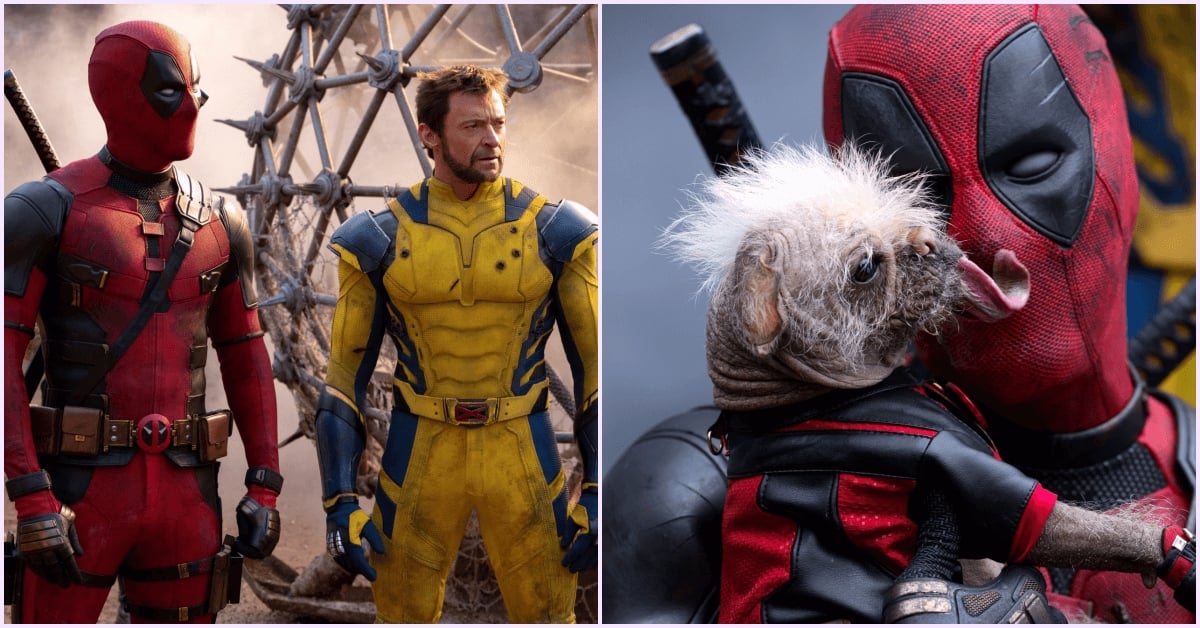 死侍狼叔喜相逢？《死侍與金鋼狼》最新正式海報曝光，休傑克曼透露因「他」才打破承諾重披狼袍 超滿意黃藍緊身衣 - JUKSY 街星