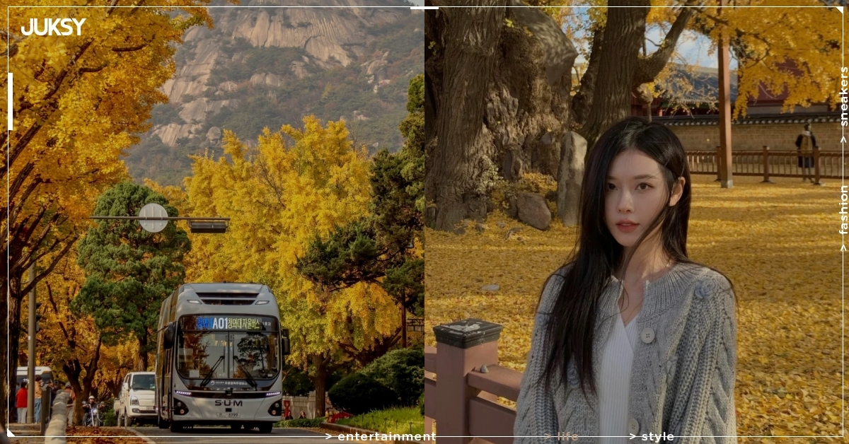 2024 韓國銀杏秘境景點 12 大推薦：時間、月份、必備用品⋯跟火紅楓葉一次看！ | JUKSY 街星