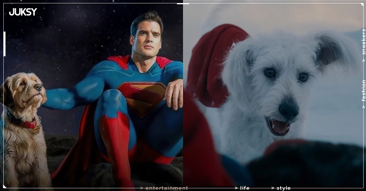 DC《超人》狗狗「氪普托」人氣飆升！帶動「領養狗狗」搜尋量暴增 500% - JUKSY 街星