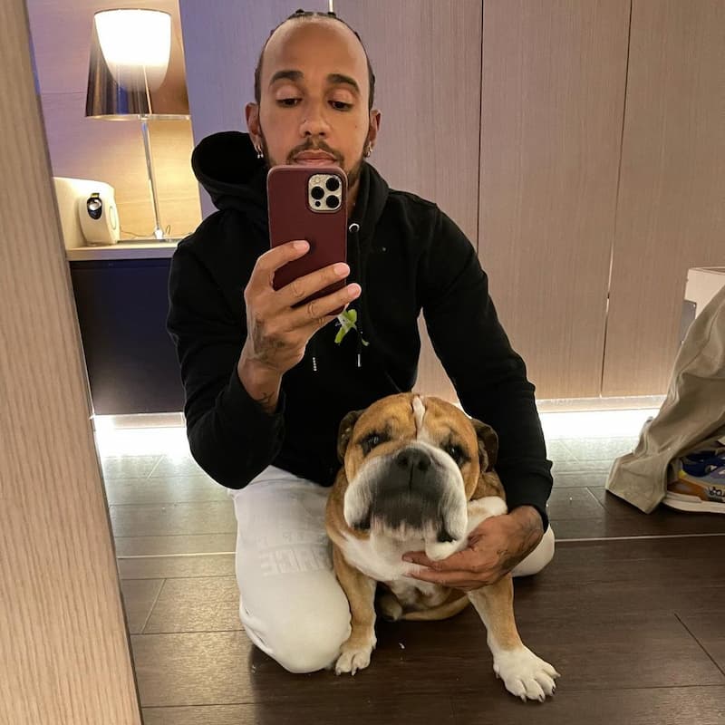 F1七屆冠軍車王 Lewis Hamilton 的愛犬每日可賺 2 萬台幣，還坐擁 46 萬粉絲、吃全素！ JUKSY 街星